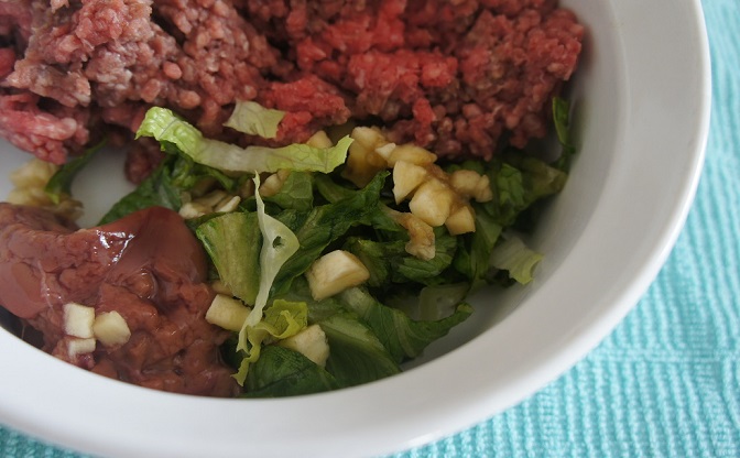 Raw dog food: BARF model vs. whole prey model - ThatMutt.com