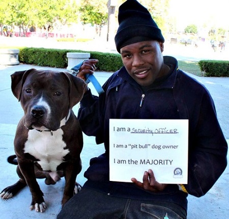 Correcting incorrect stereotypes about pitbulls - the Majority Project ...