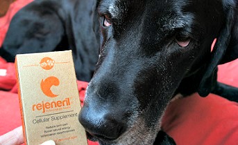 Could a Supplement Called Rejeneril Help Dogs and Cats Live Longer ...