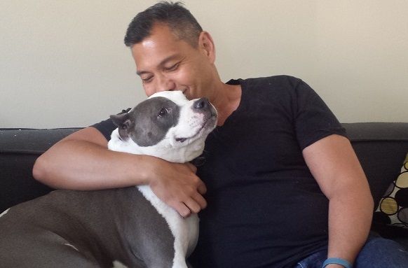 What do you love most about your pitbull? - ThatMutt.com