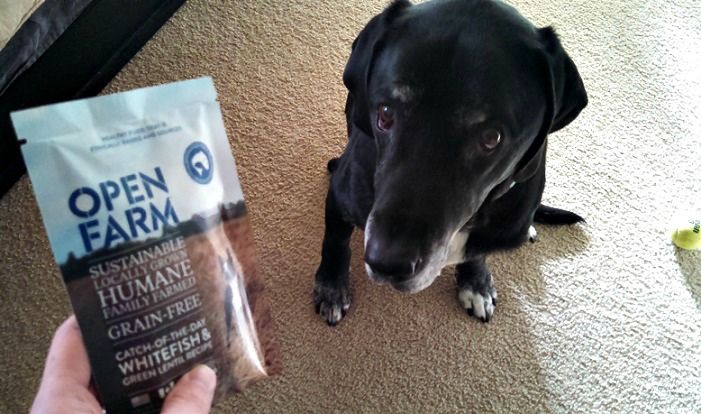 Open Farm Dry Dog Food Review - ThatMutt.com