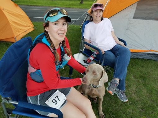 Is it OK to Run a Half Marathon with Your Dog? - ThatMutt.com
